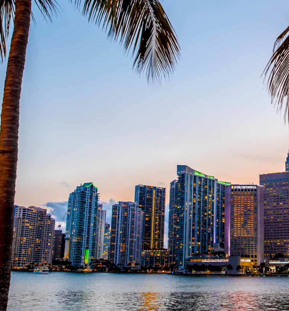 Florida Digital Marketing | Nowspeed